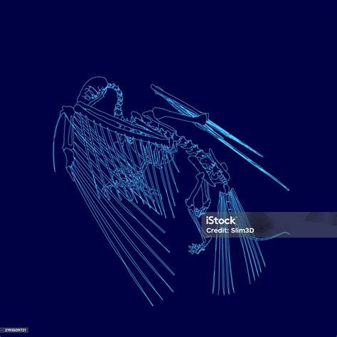 Blue Image Of A Skeleton With A Wing The Skeleton Is Shown In A Blue Color Scheme Stock