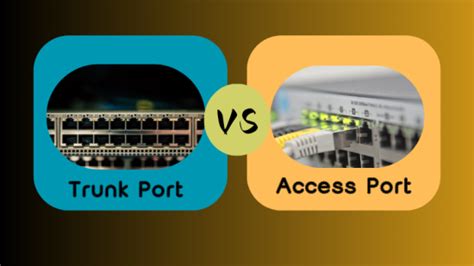 Trunk Port Vs Access Port Understanding The Key Differences
