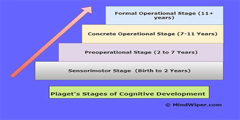 Piagets Stages Of Cognitive Development The 4 Stages Of Development Piagets Stages Of Cognitive Development The 4 Stages Of Development