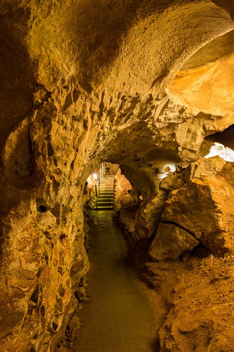 Wind Cave National Park — The Greatest American Road Trip