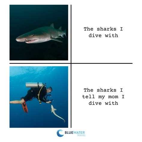 24 Scuba Memes To Dive Into On International Scuba Day Sports