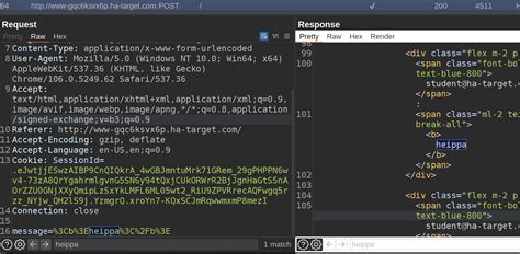 stored xss and stealing session cookies xss cross site scripting