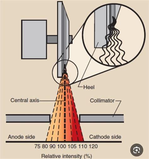 How Anode Heel Effect Affects X Ray Imaging Basma Sedeq Posted On The Topic Linkedin