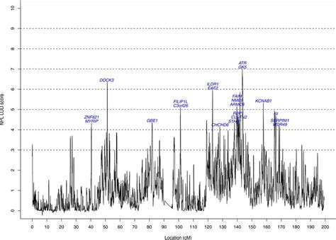 Npl Lod Score On Chromosome 3 Of Gwas Data Cm Centimorgan Download