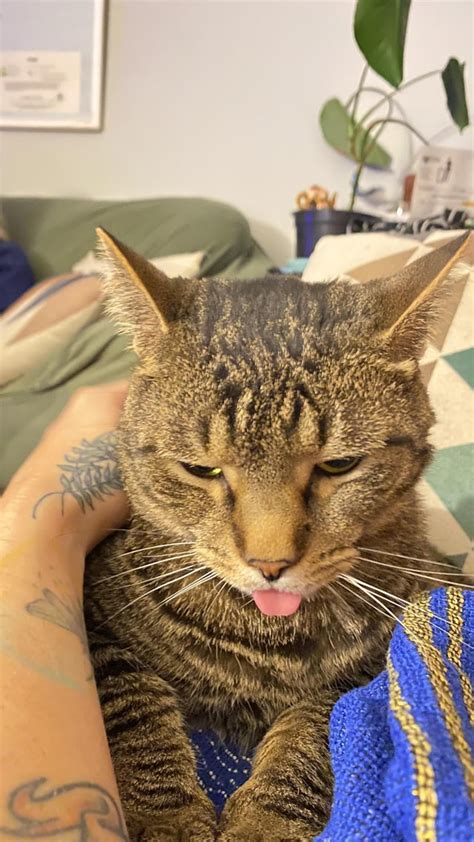 He Gets Stuck Sometimes Rmlem