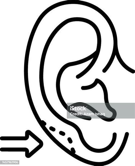 지방종 절제 개념 성형 외과 의사 벡터 라인 아이콘 디자인 아름다움과 개인 관리 기호 화장품 피부과 기호 신체 미학 스톡 일러스트레이션 감소에 대한 스톡 벡터 아트 및 기타