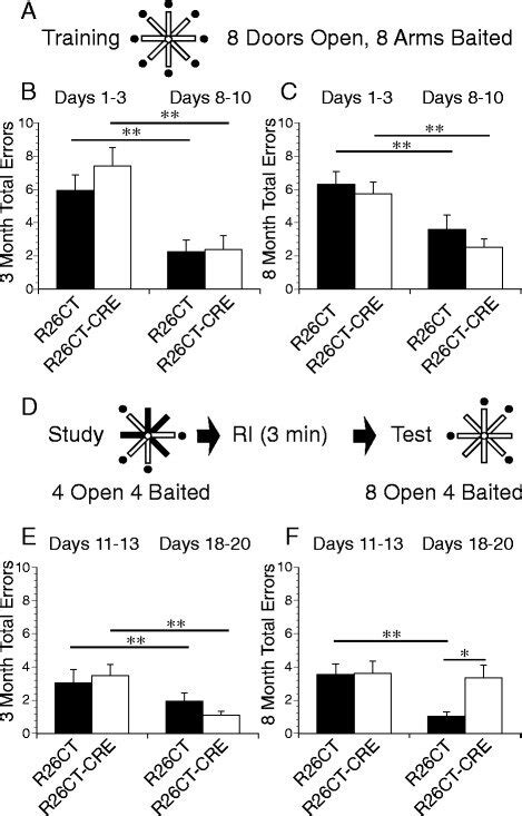 Spatial Working Memory Performance In The 8 Arm Radial Maze For R26ct