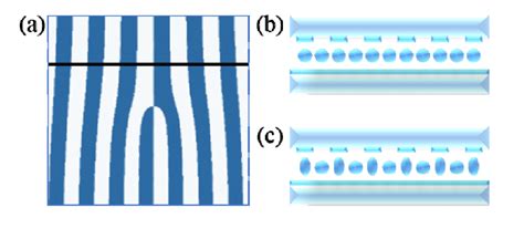 A Schematic Drawing Of A Fork Grating Electrode With M 1 Blue