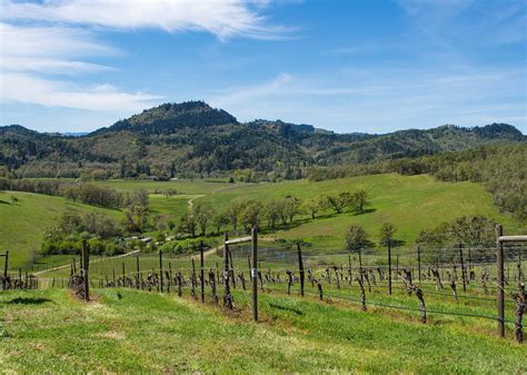 Discover The Wines Of Umpqua Valley Alcohol Professor