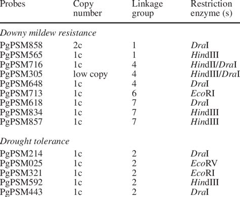 List Of Probe Enzyme Combinations Tested Download Table