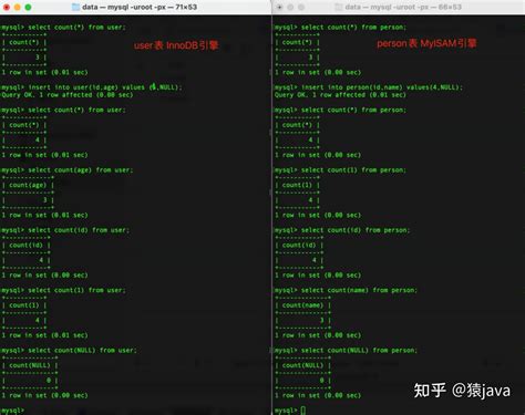 深度剖析：mysql count 函数，这下彻底明白了！ 知乎