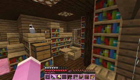 I Made A Cute Little Library Minecraft