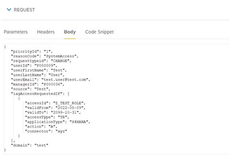 How To Configure And Test The Iag Access Request A Sap Community