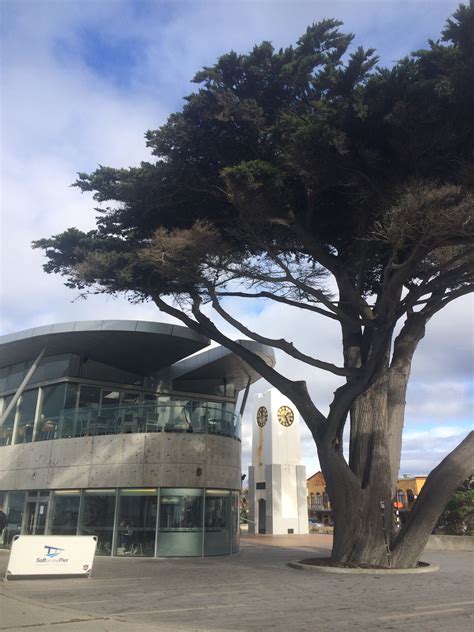 Img2406 Pythonで生きていく