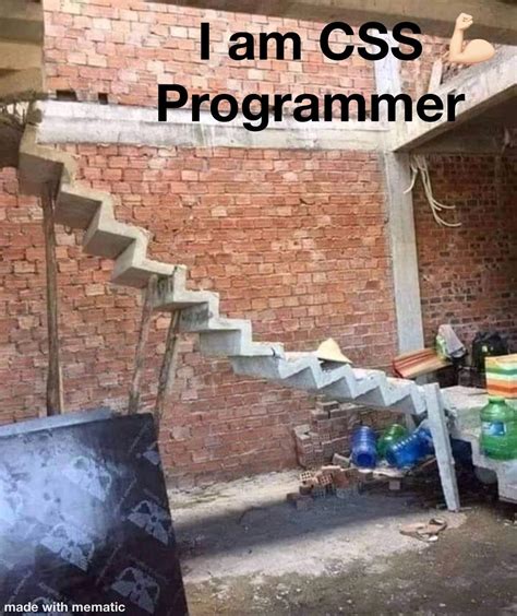 I Am CSS Programmer R ProgrammerHumor