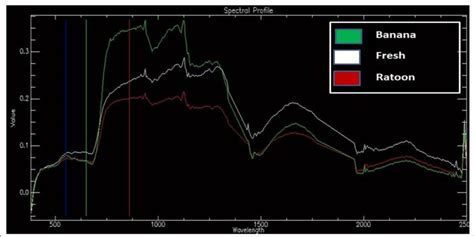 10 Pure Endmembers For Sam Classification Download Scientific Diagram 10 Pure Endmembers For Sam Classification Download Scientific Diagram