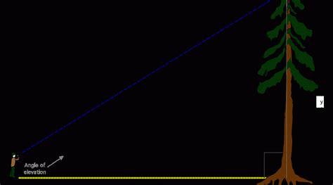 Tree Height Measuring Instruments Forestrypedia