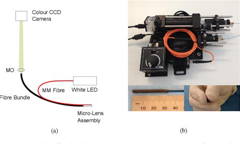 Figure 1 From Fiber Bundle Endocytoscopy Semantic Scholar