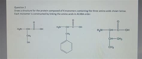 Monomer Structure Of Proteins