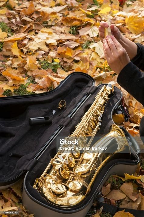 색소폰을 연주하는 뮤지션 소녀 노란 잎의 배경에 대한 케이스에 황금 색소폰의 클로즈업 Rehearsal에 대한 스톡 사진 및 기타 이미지 Rehearsal 가방 공연