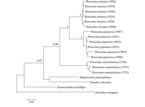 A Bayesian Tree Reconstructed Based On The Analysis Of Nucleotide Download Scientific Diagram