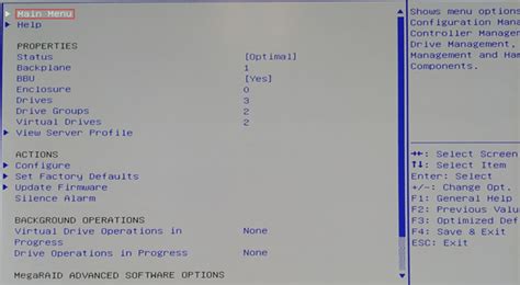 Management And Configuration Of RAID Arrays With UEFI LSI MegaRAID Dell Samoa