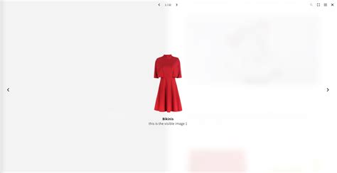 Panzoom Maxscale · Issue 202 · Fancyappsui · Github