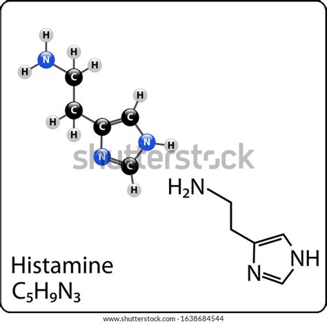 Histamine Molecule Structure Ball Stick Stock Vector Royalty Free 1638684544 Shutterstock