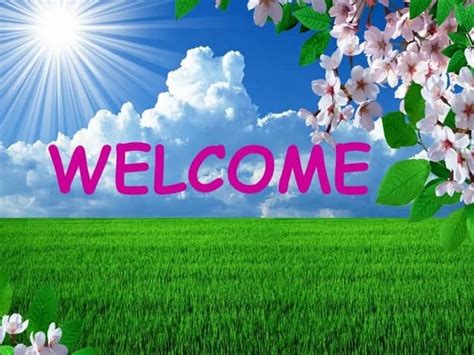 Quantum Numbers Class 11 Ppt For Chemistry Pptx