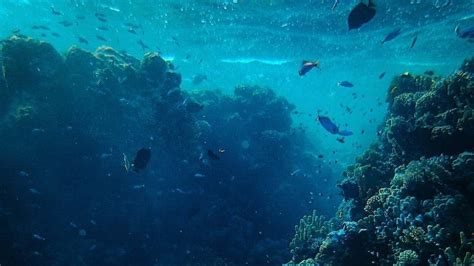 I Was A Science Experiment Ep 1 Hackernoon