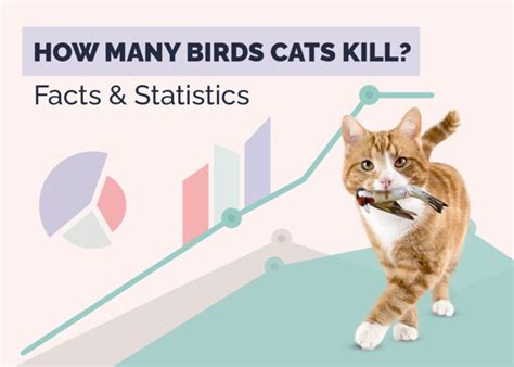 How To Keep Cats From Killing Birds 7 Possible Ways Hepper Pet Resources