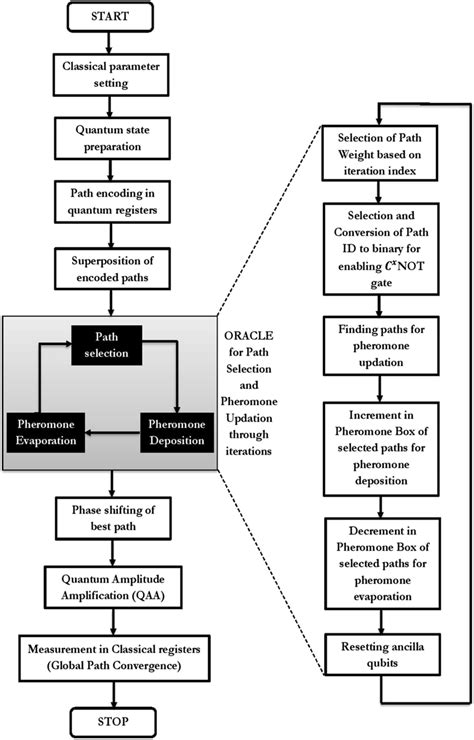 Execution Flow Of MNDAS Algorithm Download Scientific Diagram