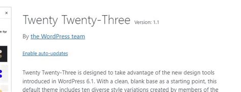 Configure Automatic Wordpress Updates For Plugins And Themes