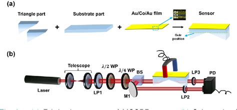 Figure 2 From High Sensitivity Magnetic Field Sensor Based On Magneto Optical Surface Plasmon