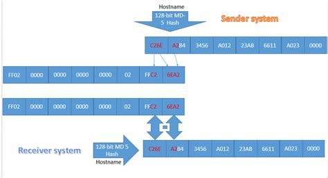 IPv6 Multicast Addresses Explained