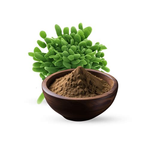 Certified Organic Extracts Manufacturer And Exporter