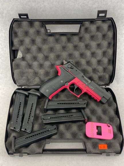 Sig Sauer Mosquito 22 Lr Pistol National Auction Usa