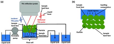 A Schematic Of The A Experimental And B Dem Modelling Domain Download Scientific Diagram