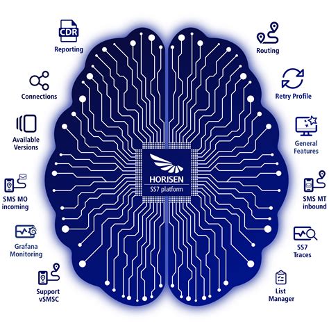 Professional Ss7 Signalling Product