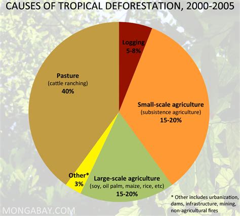 Expedition Earth Deforestation