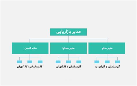 مدیر بازاریابی چه کارهایی انجام می‌دهد؟ بررسی کامل حقوق