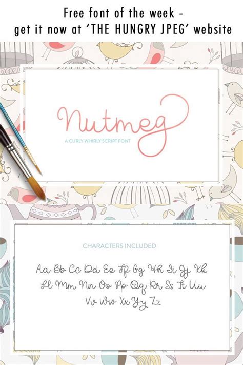 Free Nutmeg Script Curly Cursive Font