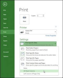 Microsoft Project Print To PDF Options Explored