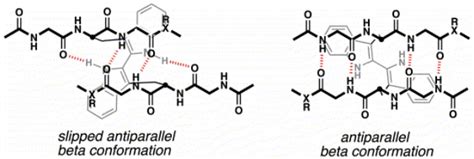 Intramolecular Ditryptophan Crosslinks Enforce Two Types Of