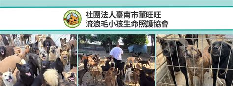 社團法人台灣愛狗人協會 社團法人台灣愛狗人協會 Added A New Photo