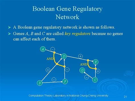 Applications Of Symbolic Logic To Gene Regulation Systems