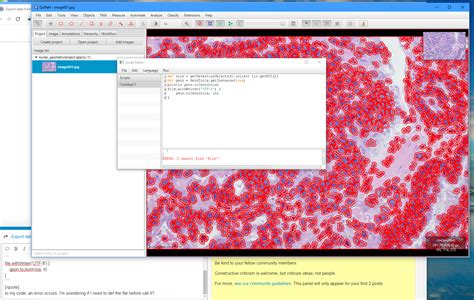 Export Data From Groovy Script Development Imagesc Forum