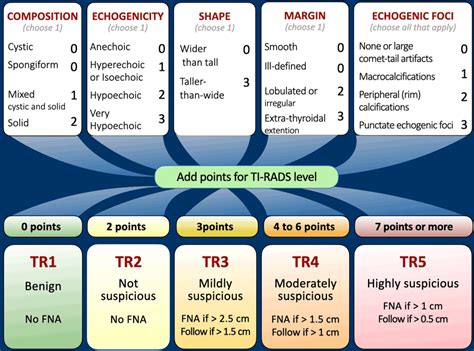 The Radiology Assistant Ti Rads Thyroid Imaging Reporting And Data