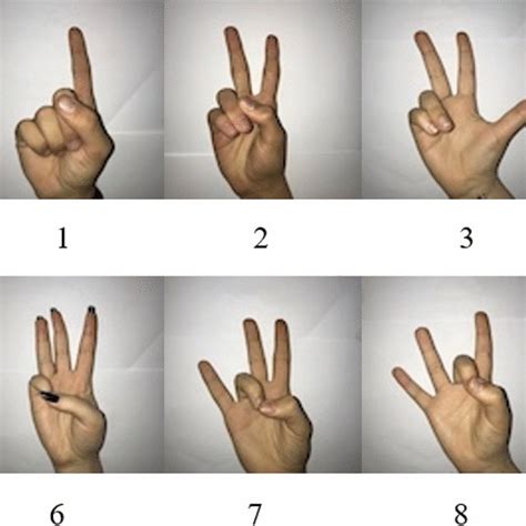 Examples Of Sign Language Digits Download Scientific Diagram