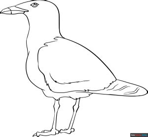 How To Draw A Seagull Really Easy Drawing Tutorial